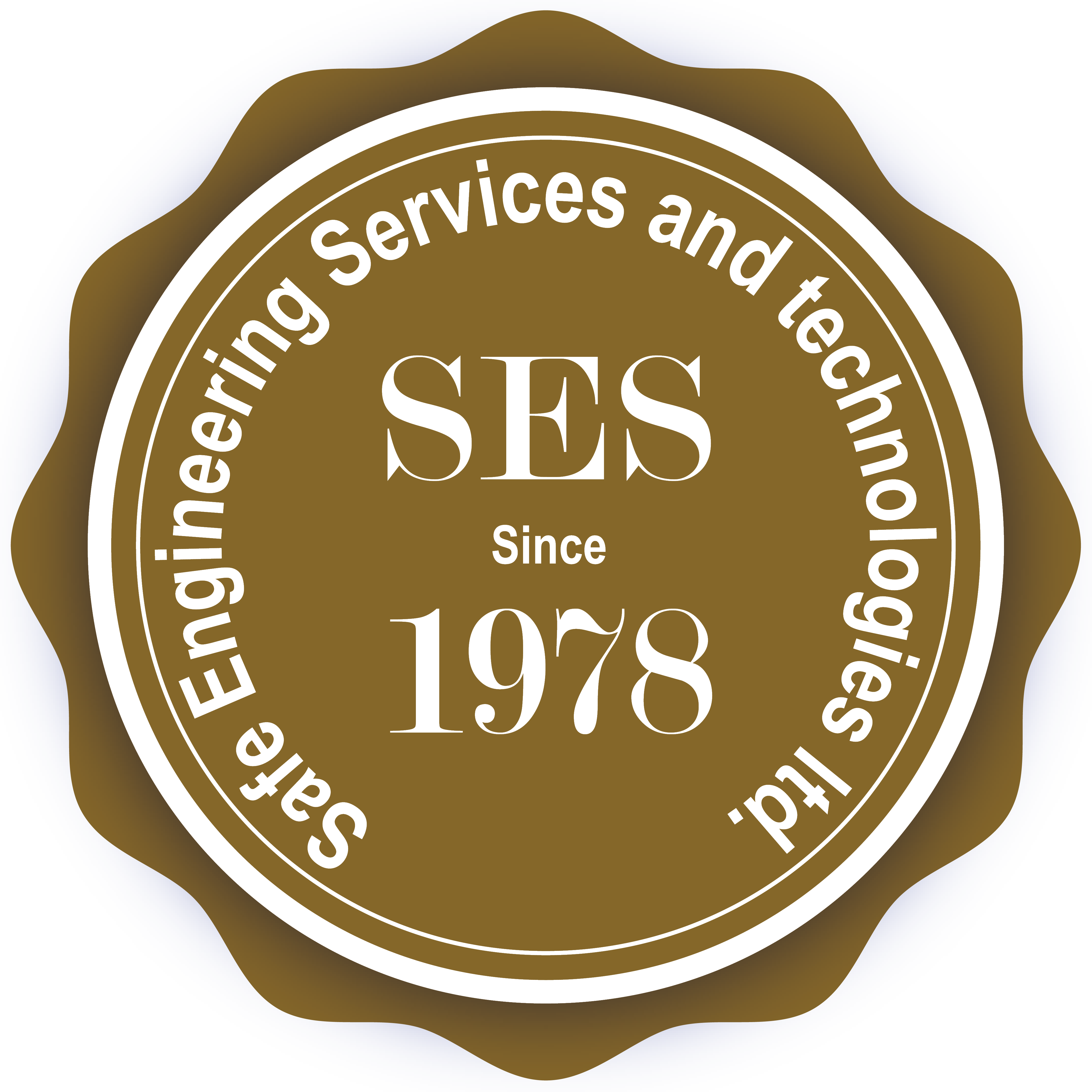 培训介绍 - SES & technologies ltd.